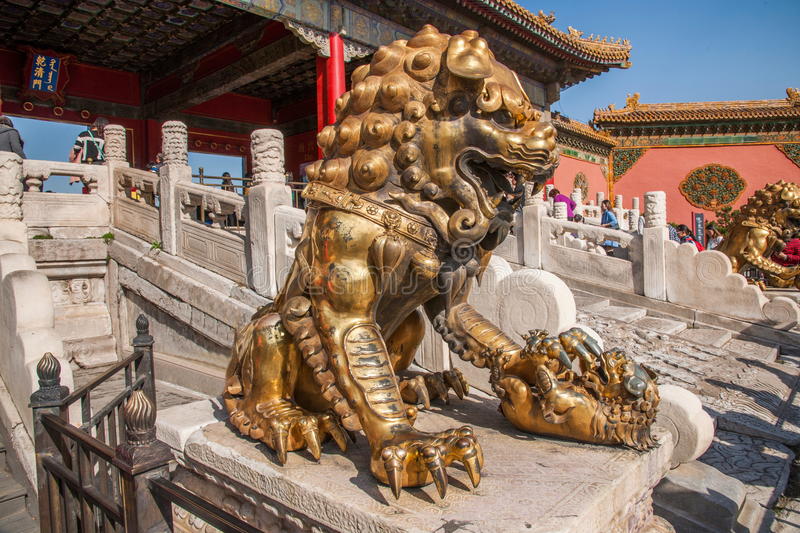 Cachorro Shih tzu | Informações sobre a Raça, Personalidade e Filhotes