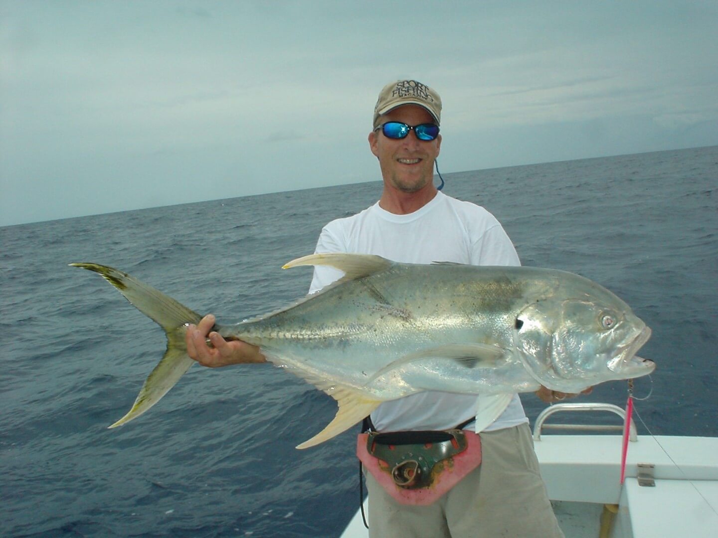 Peixe Xaréu - Tudo sobre os Peixes Xareu - Pet Caramelo